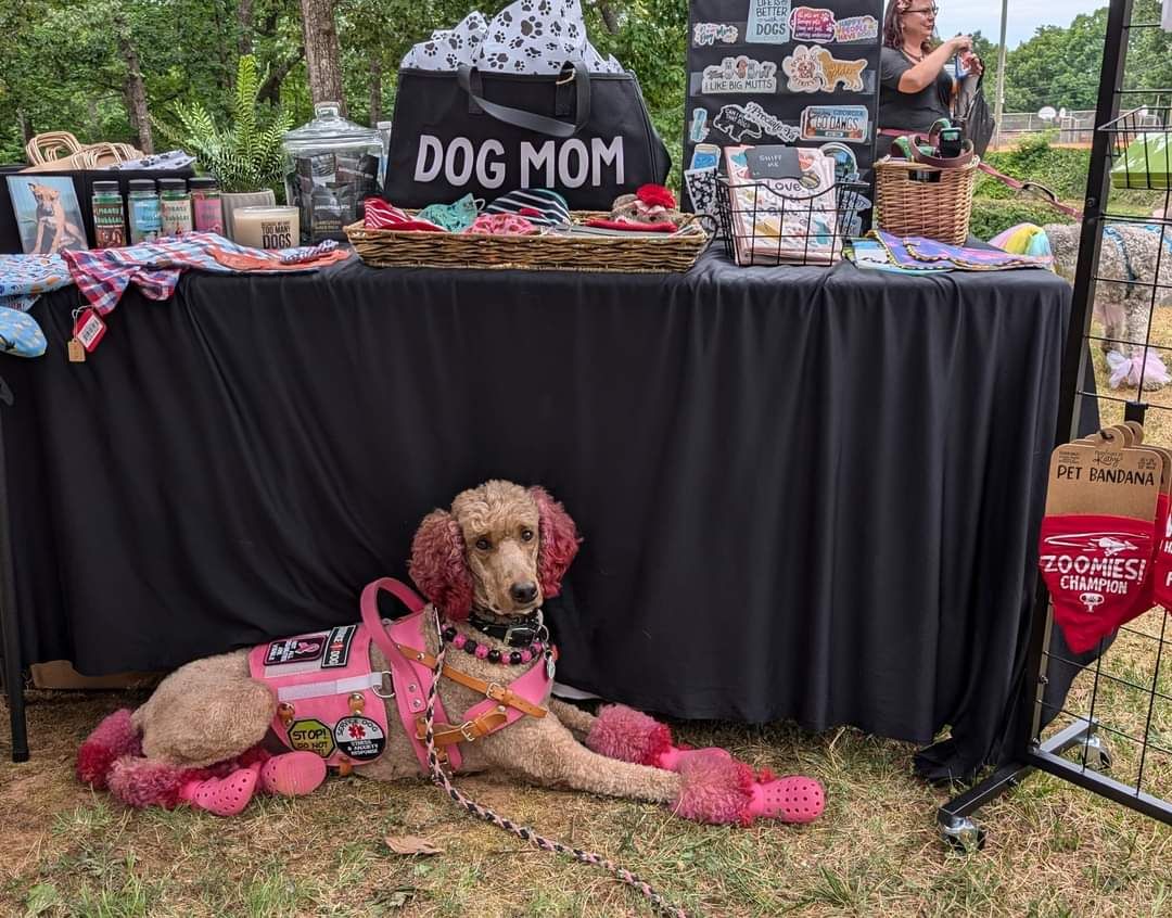 The Cutthroat High Stakes World of Pet Pageants Comes to Cornelia with ...